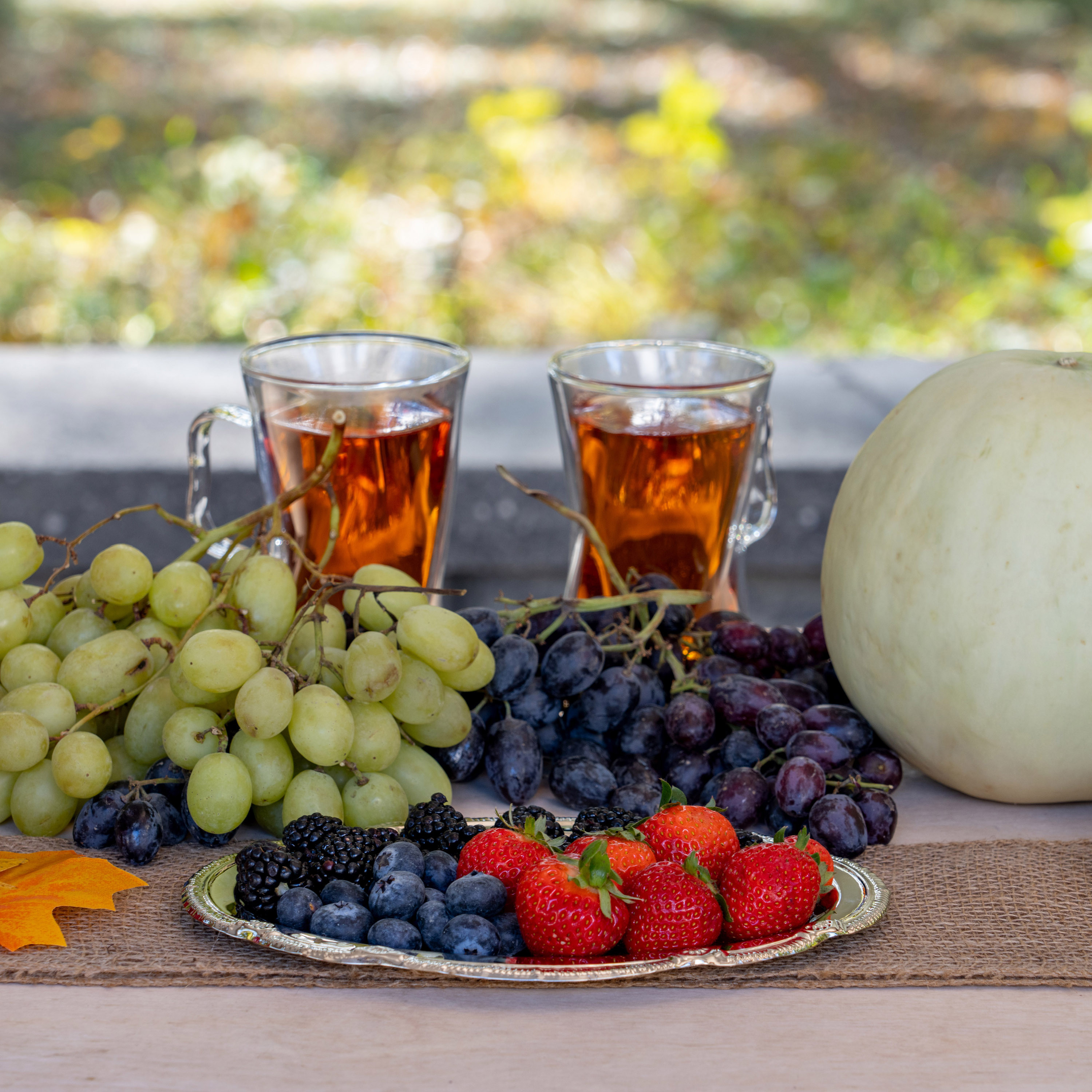 The Home Of Maxam Products