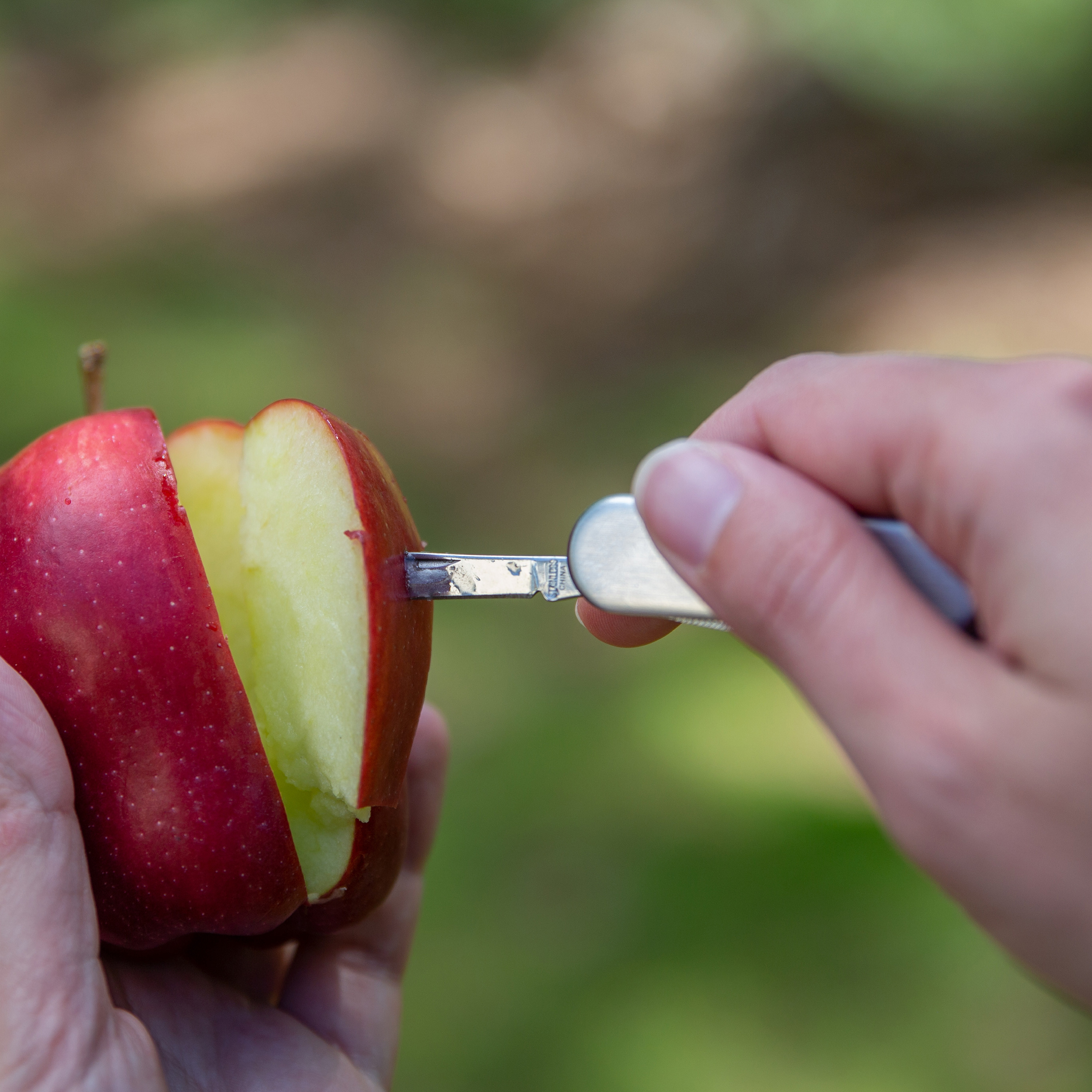 The Home Of Maxam Products