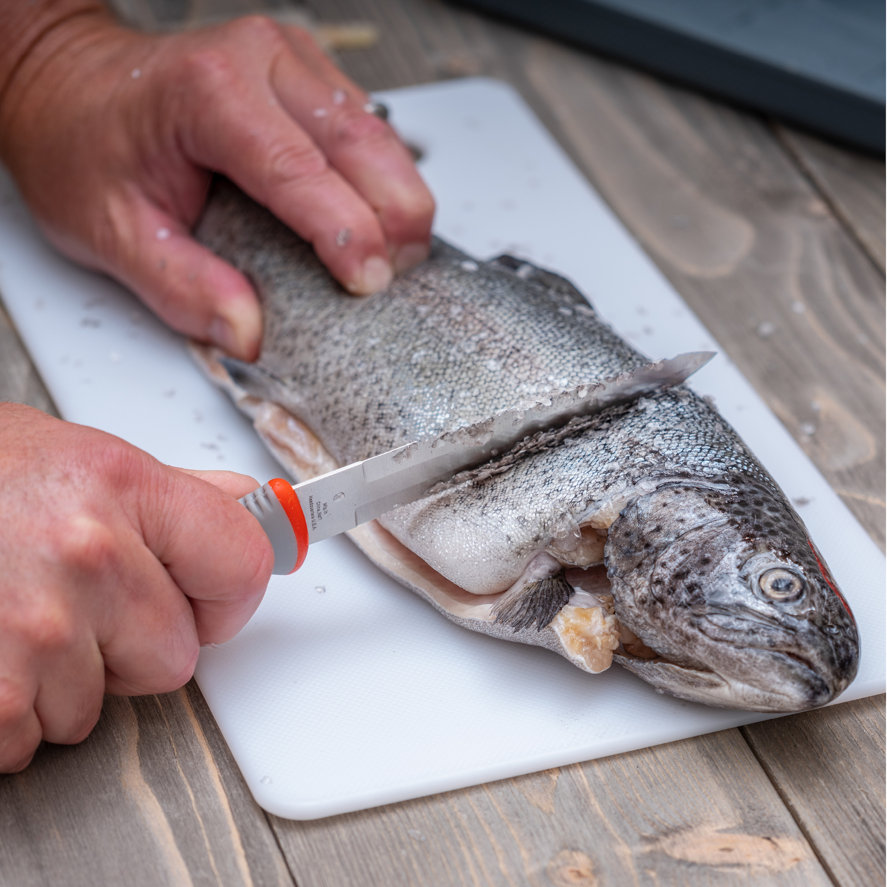 The Home Of Maxam Products